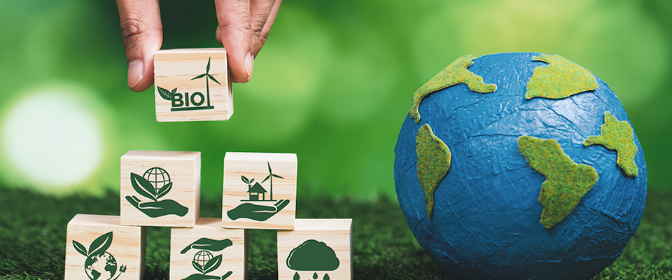 Sustainability & Green Markets: The Next Investment Wave